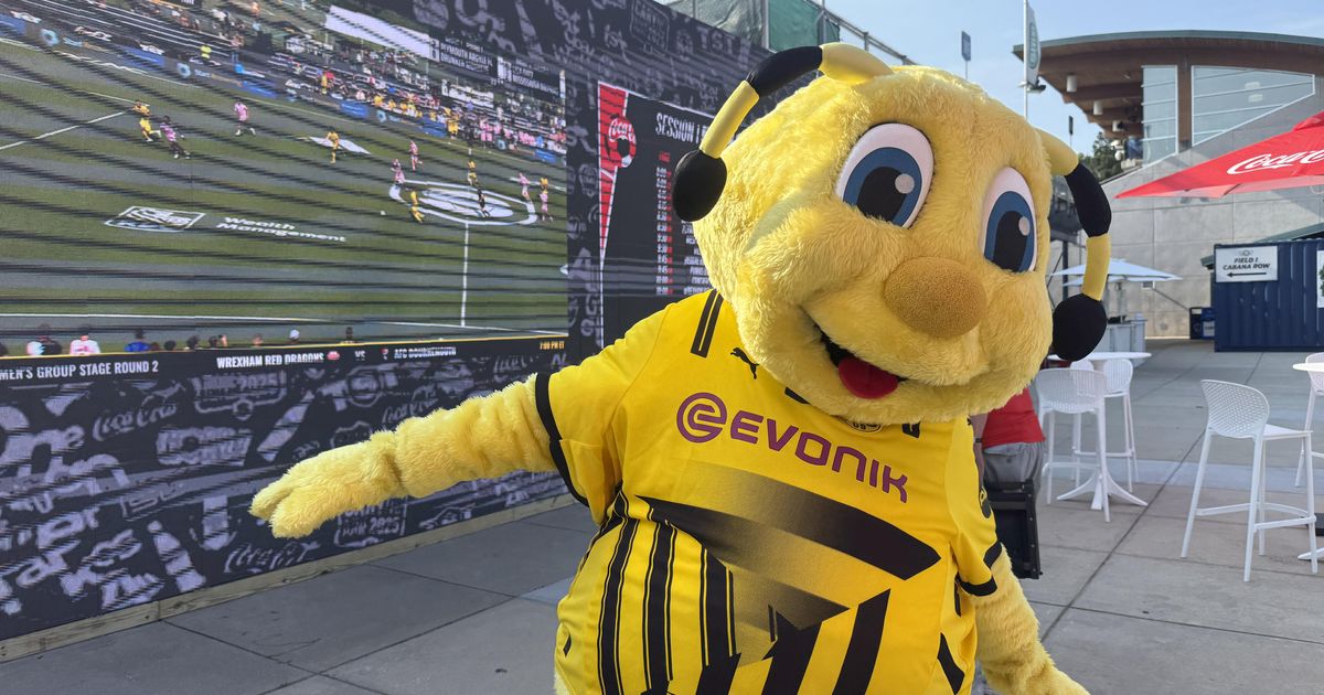 Youth clinics, kids zone: A guide to family fun at The Soccer ...