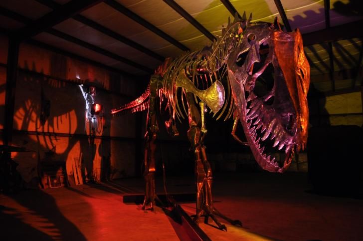 Natural sciences museum opens new dinosaur exhibit Saturday