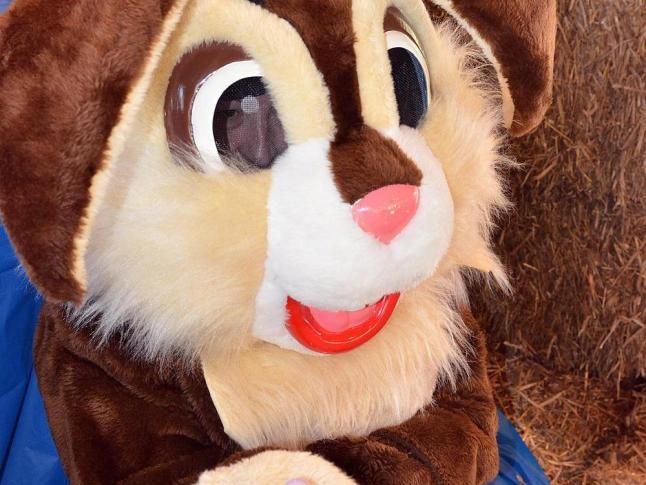 Bass Pro Shops offers free Easter Bunny photos, egg hunts