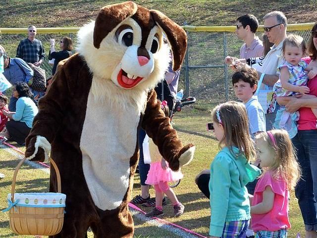 Find local Easter egg hunts, meet the bunny