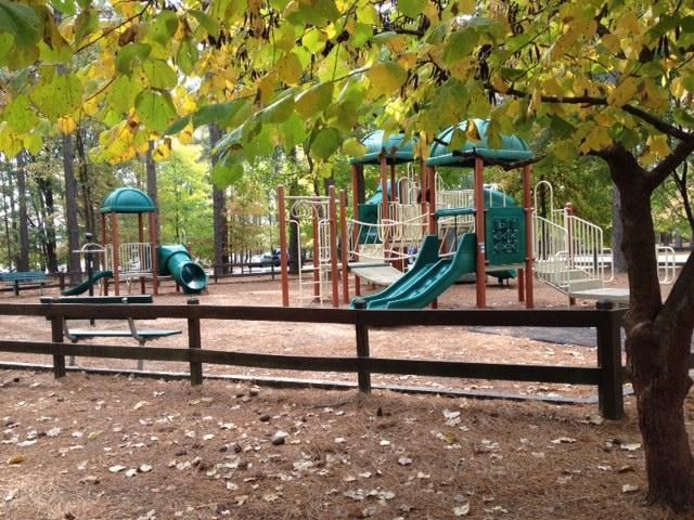 Park Review: Harris Lake County Park