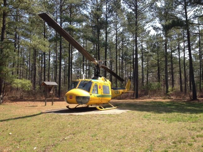 Destination: Talking Tree Trail at Jordan Lake Educational State Forest