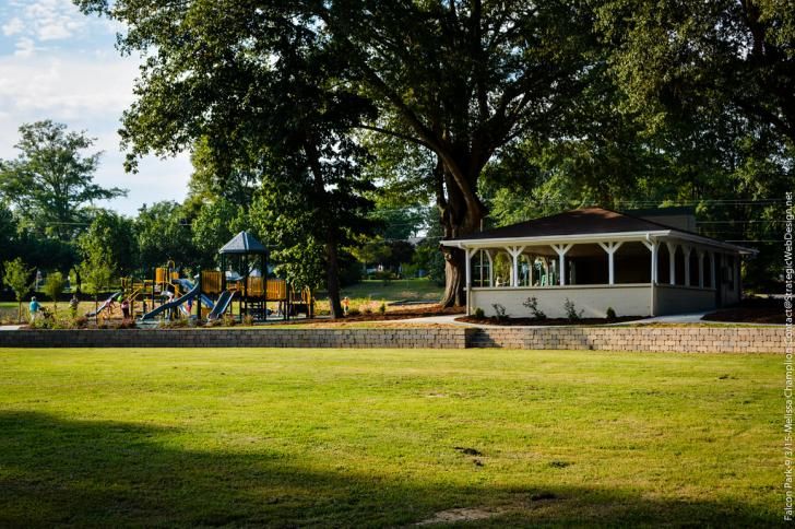 Playground Review: Falcon Park