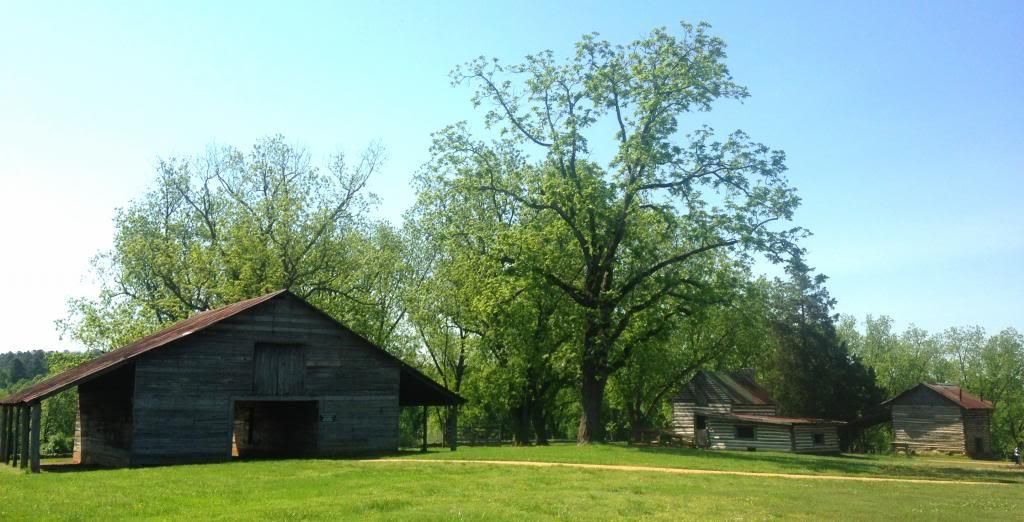 Five favorite Triangle places for family holiday pictures