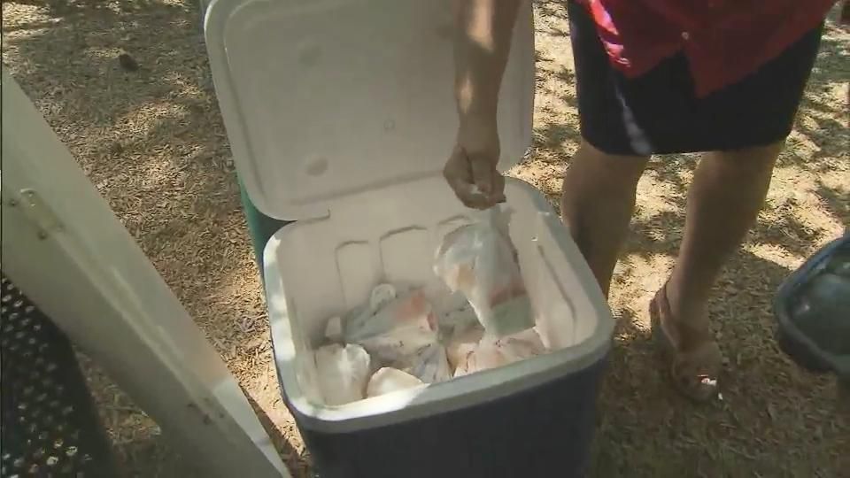 Free Meals: Sites across region offer food, activities for kids who may ...