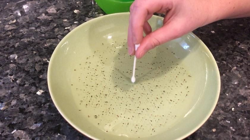 Easy Experiment: Runaway pepper