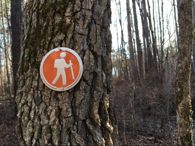 Destination: Rocky Point Trail at Raleigh's Forest Ridge Park