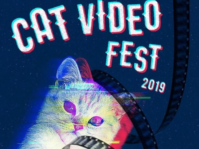 Cat Video Fest returns for encore screenings at Marbles