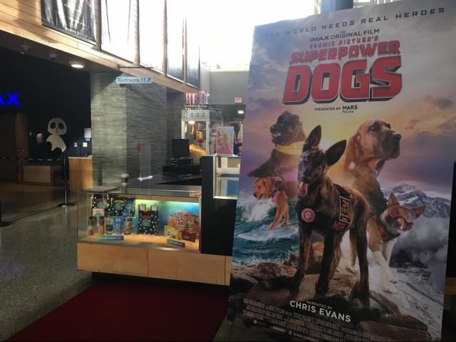 Take the Kids: 'Superpower Dogs 3D' puts real-life superheroes on the ...