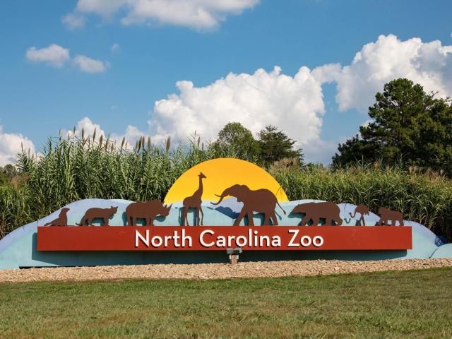 Rebuilding NC Zoo's aviary would cost $50 million, zoo director says