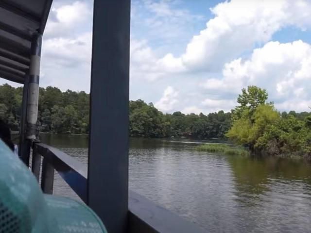 Perfect daytrip: High Point City Lake Park offers pool, mini golf ...