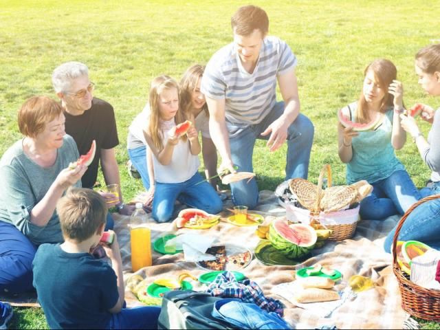 Planning a picnic? This is the only checklist you'll ever need