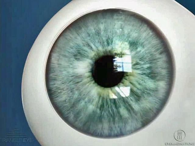 Refined corneal procedure can restore sight