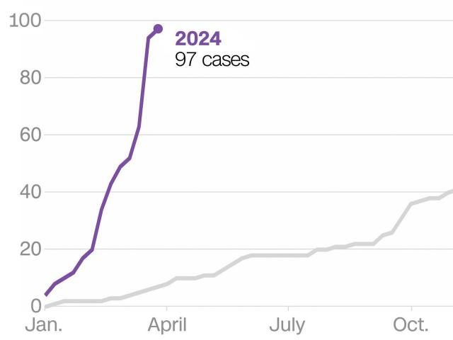 Tracking measles cases in the United States