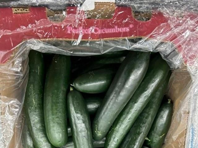 Recalled cucumbers linked to multistate salmonella outbreak, health ...
