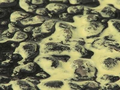 Pollen invades Raleigh, residents embrace it