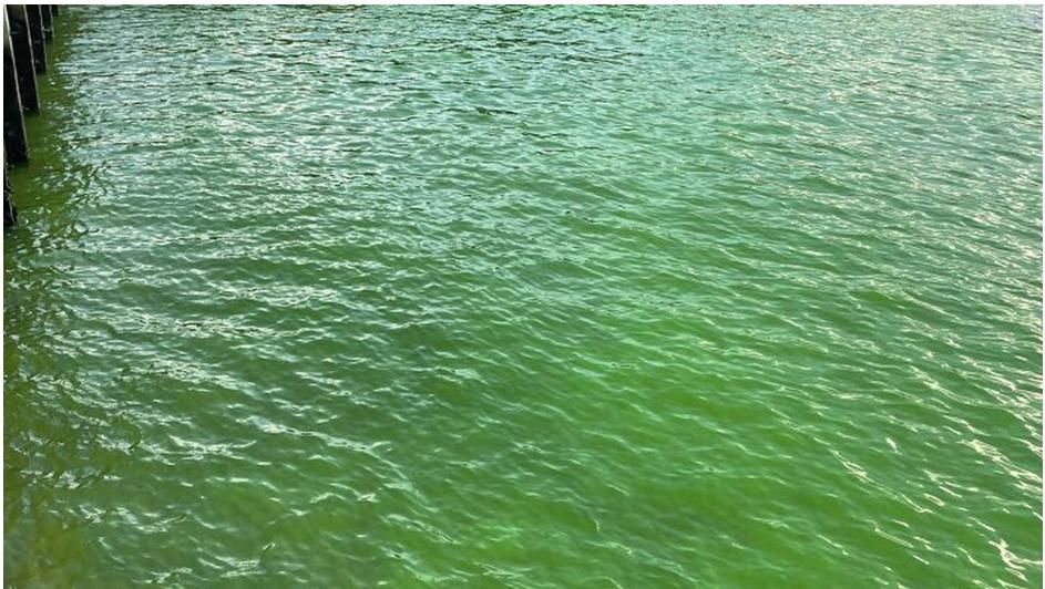 Residents spot bright green water at Wrightsville Beach