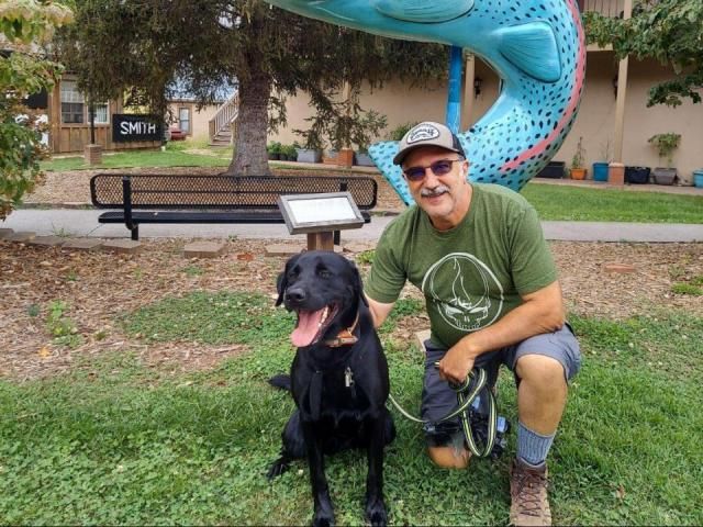Man injured, dog killed in attack by two other dogs