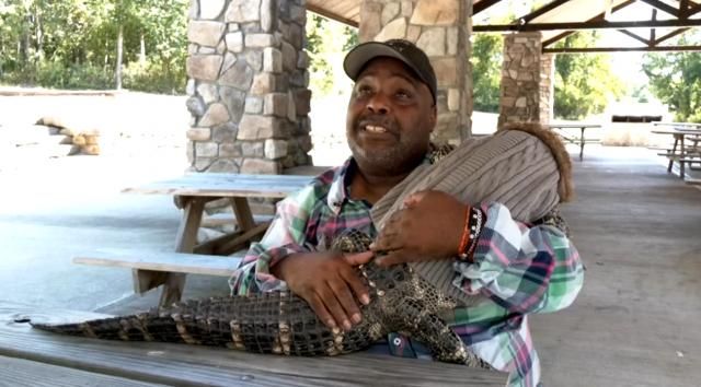 Meet a Pennsylvania man's emotional support alligator