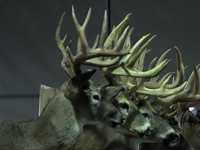 Deer farming bill heads to governor