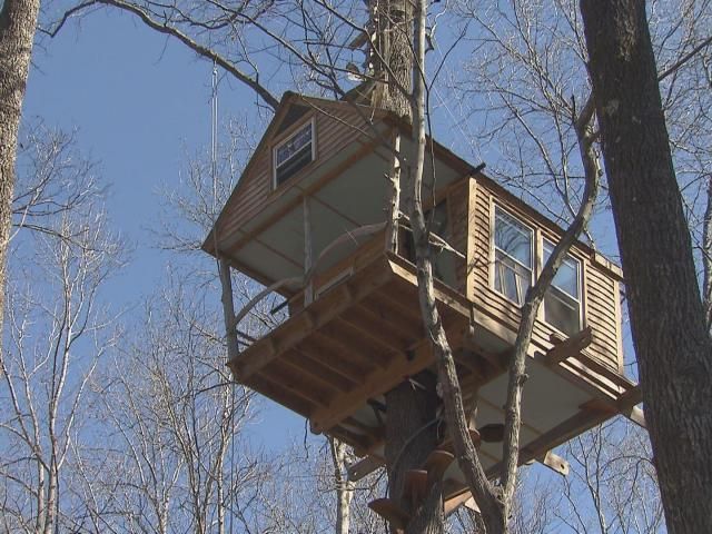 Elaborate tree house could draw guests in Orange County