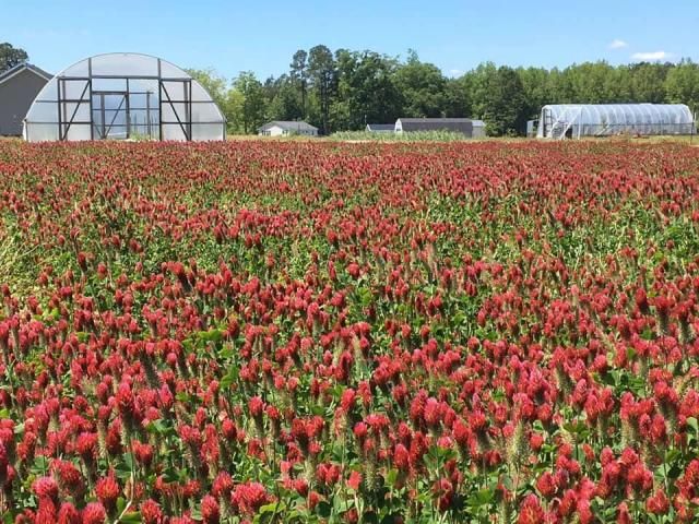 Deep Roots Farm brings local food movement to eastern North Carolina