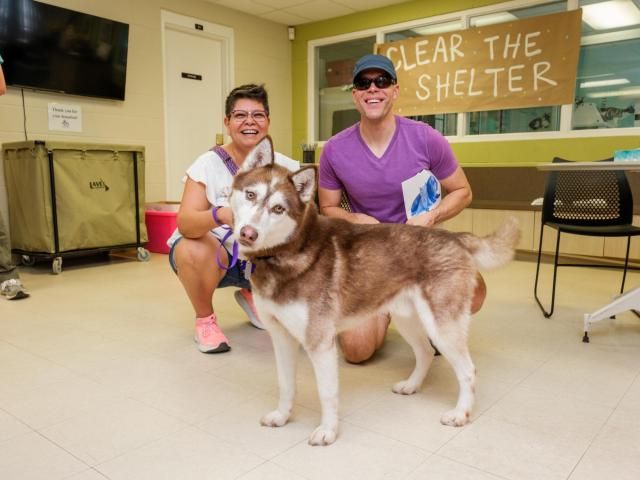 The Animal Protection Society of Durham: a fierce advocate for animals ...