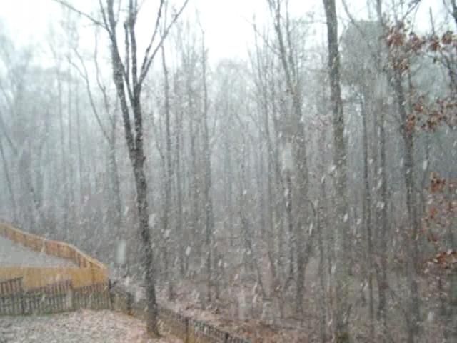 Raleigh woman's guess wins snowfall contest