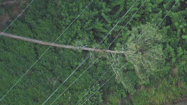 Sky 5 flies over downed tree that knocked out power to thousands in Durham