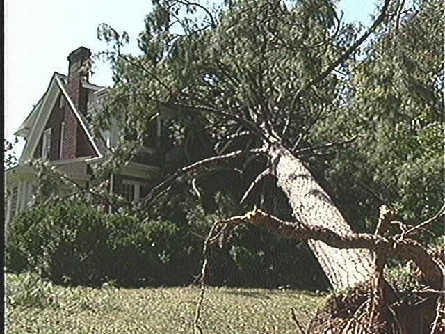 Relief Still Available for Fran Victims