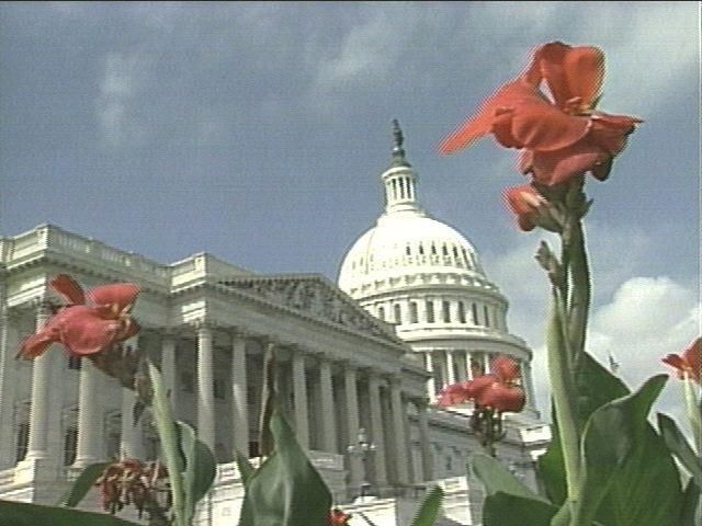 Faircloth Calls for Pfiesteria Funding