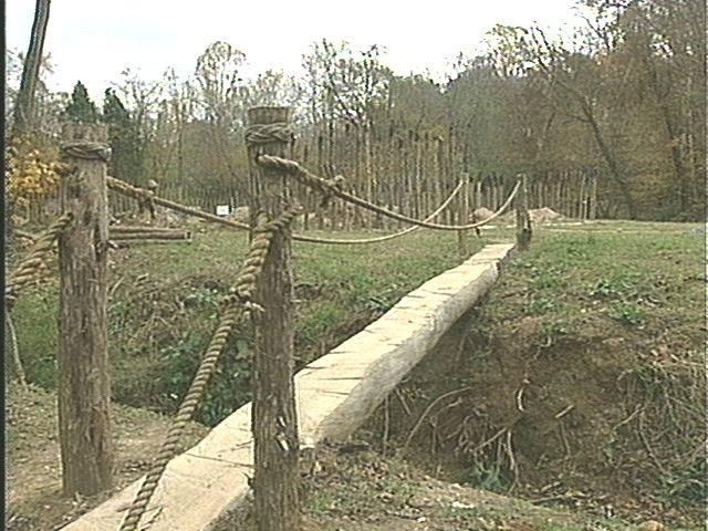Native American Village Going Up on Banks of Eno