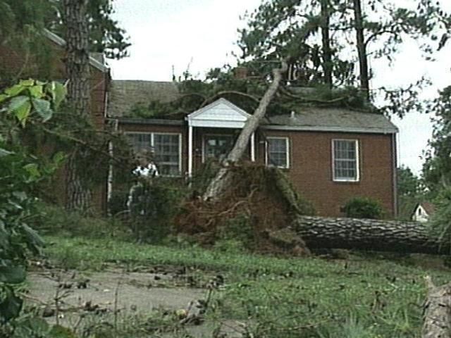Fran Trees Brace for Strong Winds