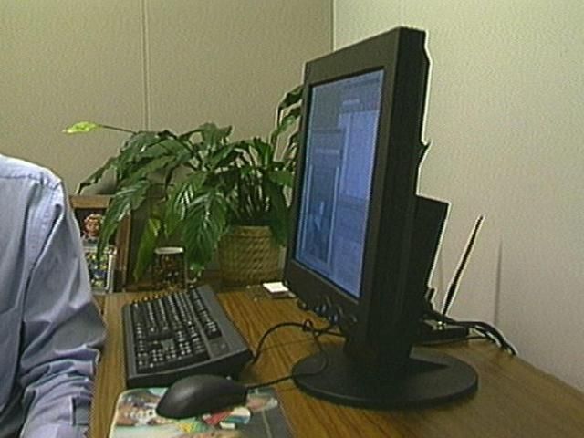 The Skinny on Flat Panel Computer Monitors