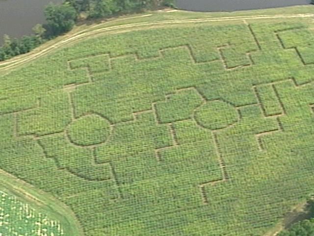 Bunn Farm is Truly A-Maze-ing