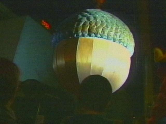 Exploris Museum Kicks Off First Night Celebration