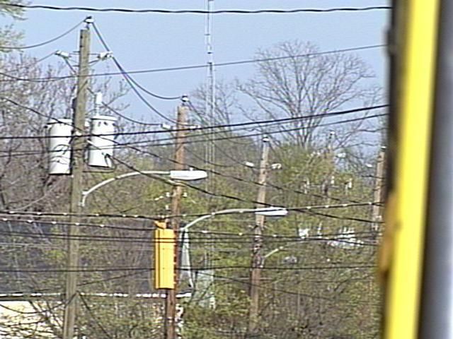 Some Environmentalists Say Utility Poles are Poisonous