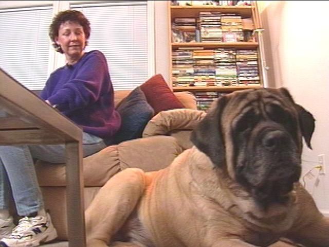 Zebulon Woman's Dog Goes From Pound Puppy To Hero