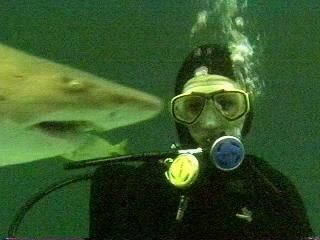 Do Sharks Have A Bad Reputation When It Comes To Humans?