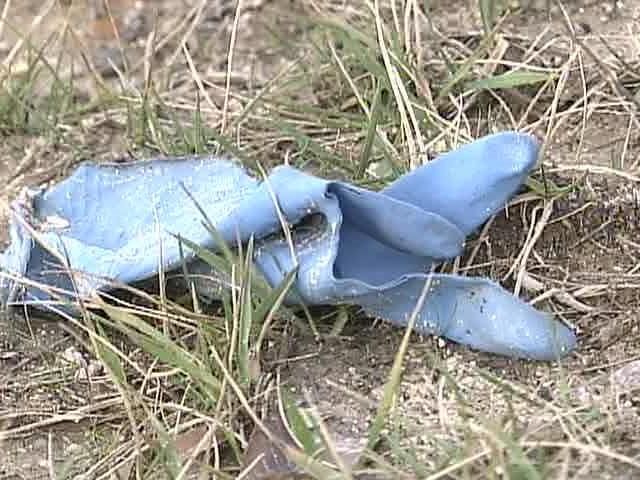 EMS Crews Leave Medical Trash at Wreck Scenes