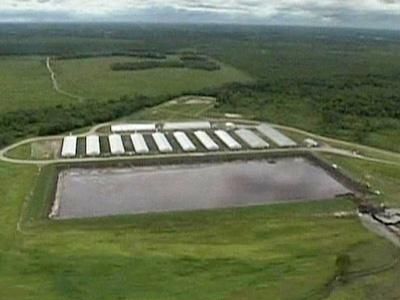 Hurricanes feed environmental fears about hog lagoons