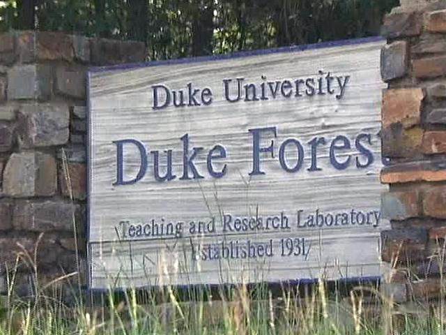 Duke Forest opens for controlled deer hunt