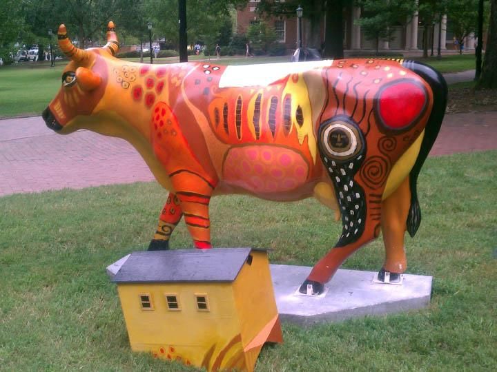 Two UNC students cited in Chapel Hill cow-tipping prank