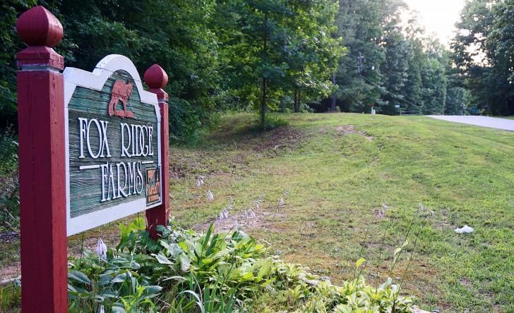 Newborn baby found buried in backyard near Louisburg