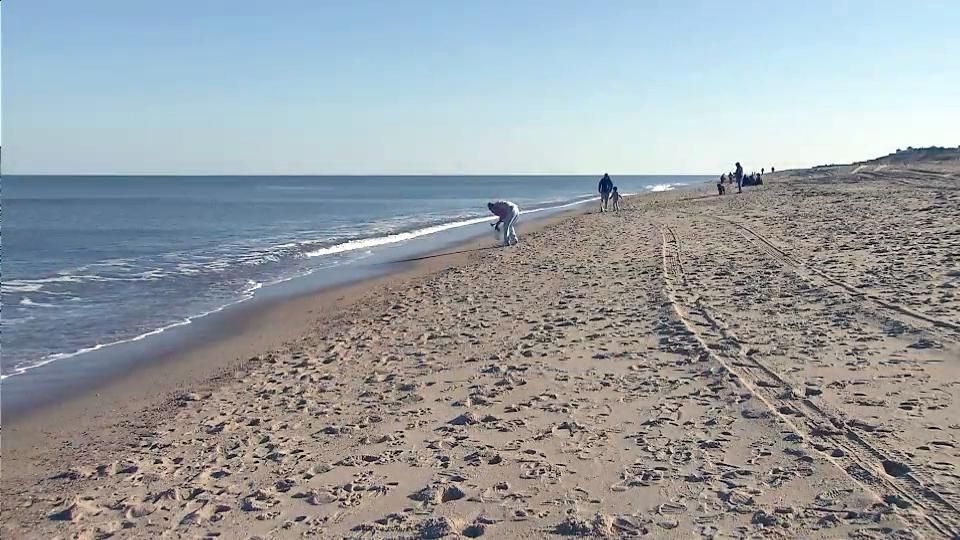 Revised NC sea level report predicts rise along entire coast