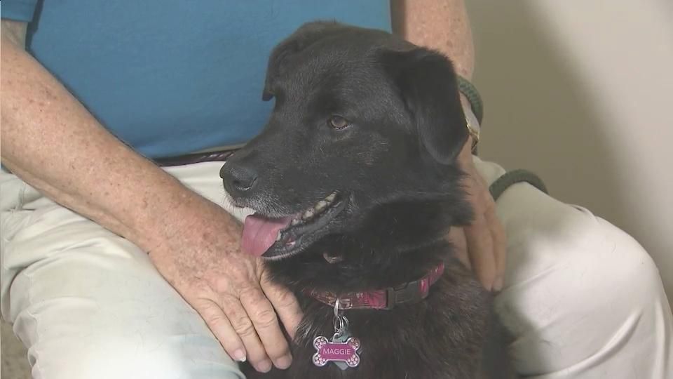 Man reunited with long-lost dog in Nash County