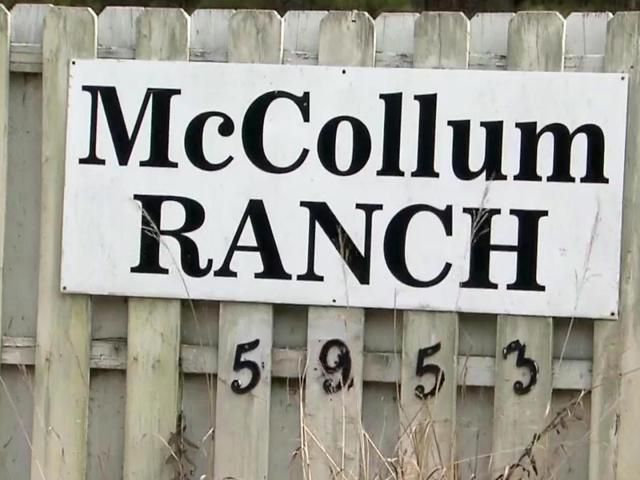 Families search for answers after children taken from Godwin's McCollum ...