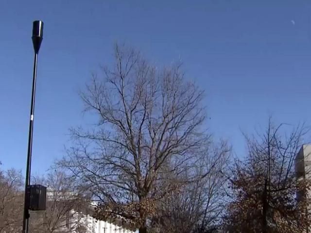 'Tiki torch' poles in downtown Raleigh to light way for better cell signals