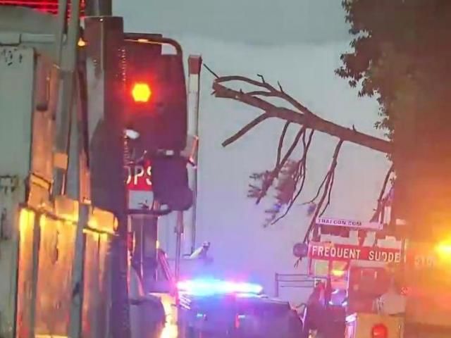 Clean-up underway in Raleigh after overnight storms flood roads