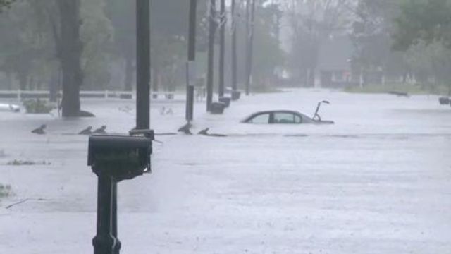 Deer swim for survival in New Bern
